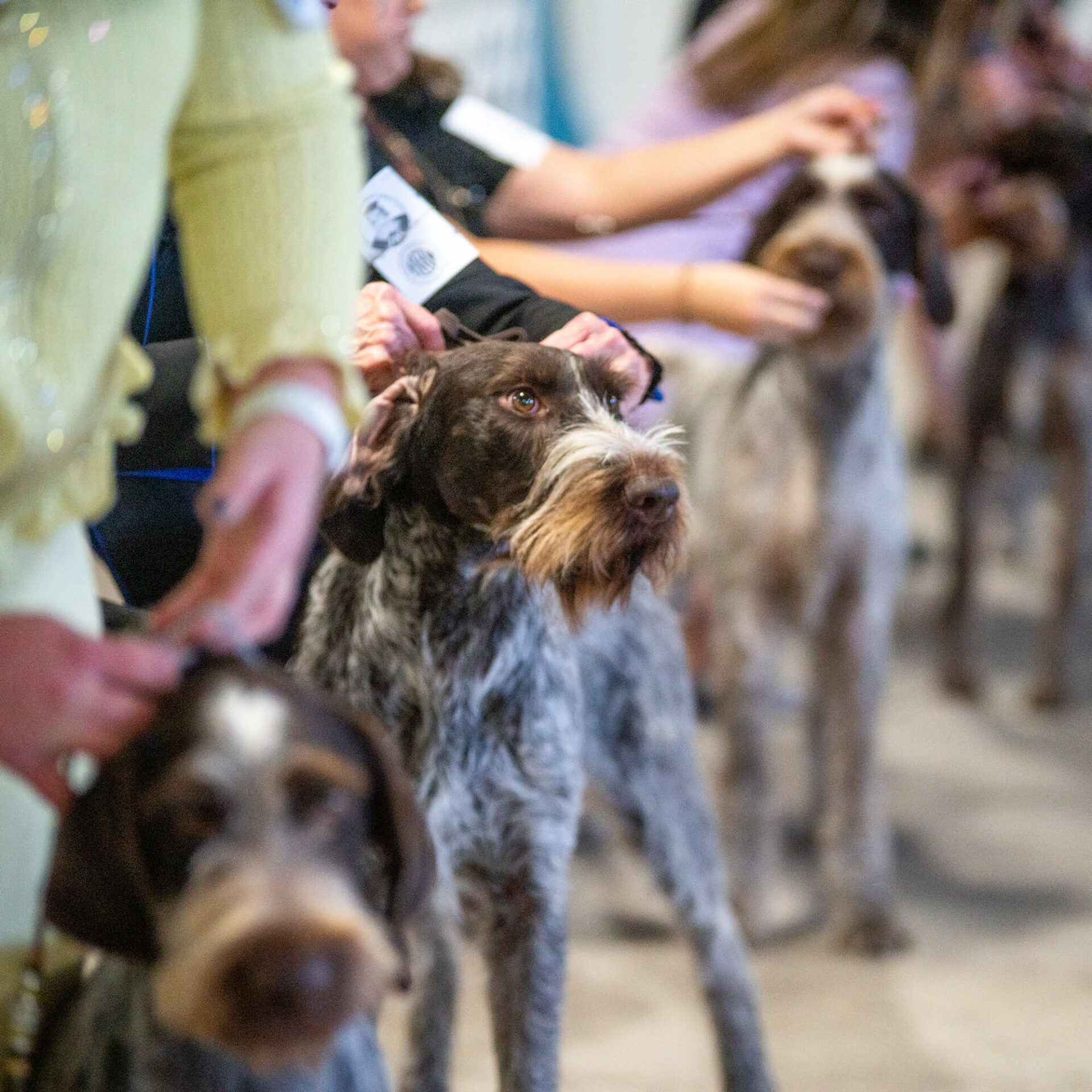 Planner Info - Sandhills Global Event Center